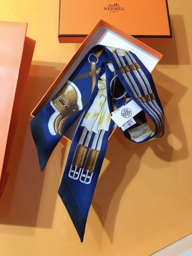 Authentic Hermes Silk
