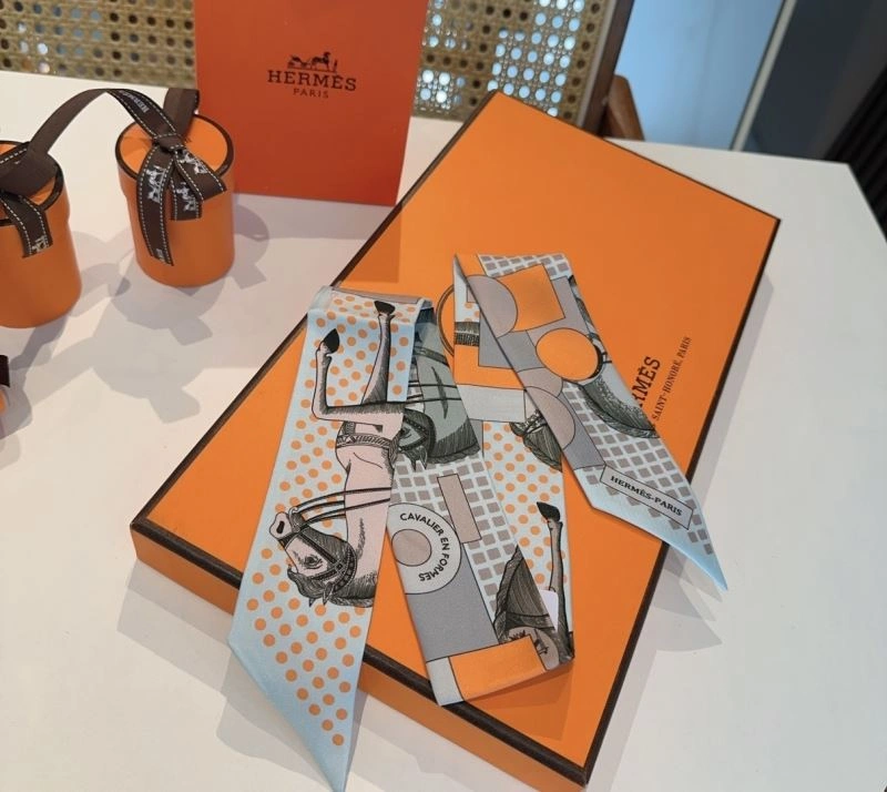 Official Hermes Silk