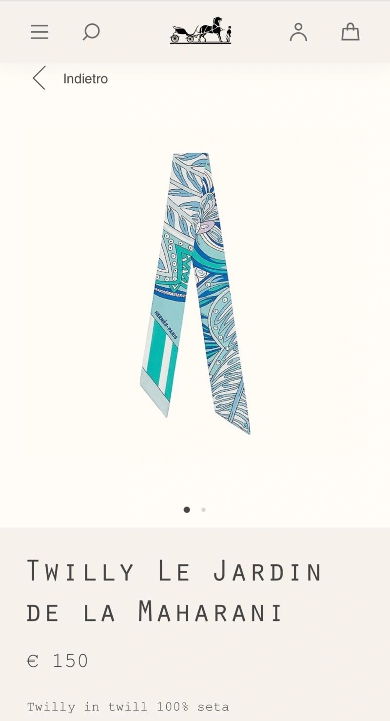 Hermes Silk