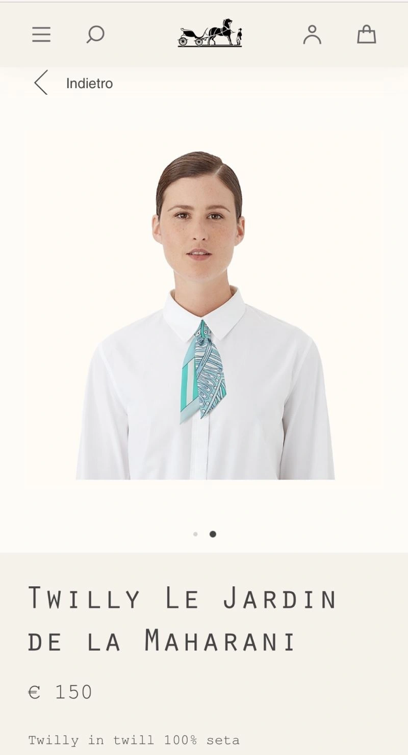 Budget-friendly Hermes Silk