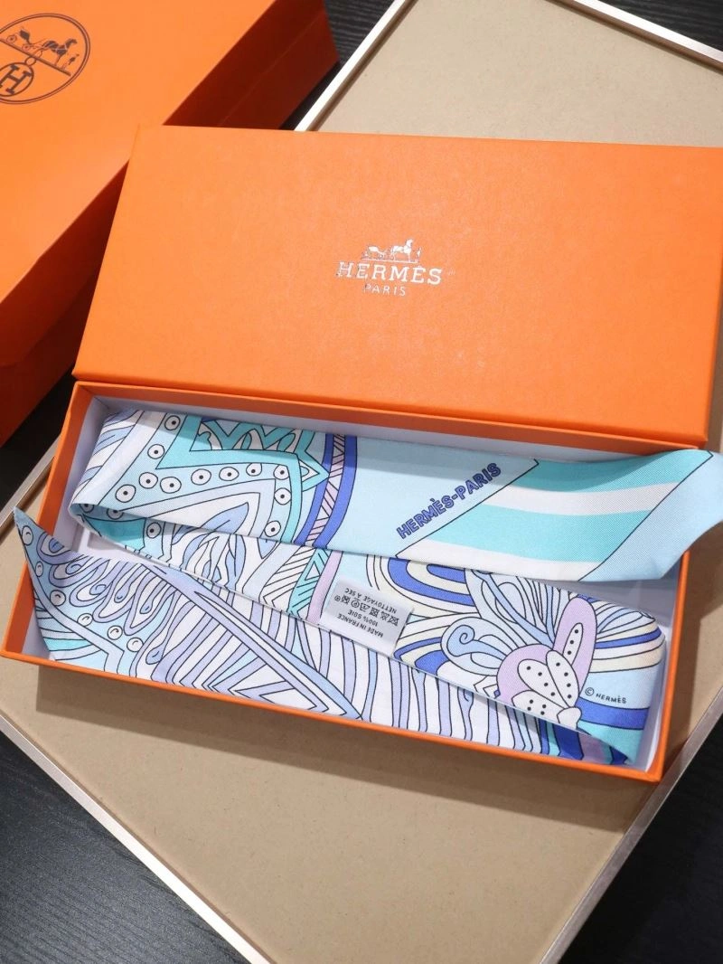 Budget-friendly Hermes Silk