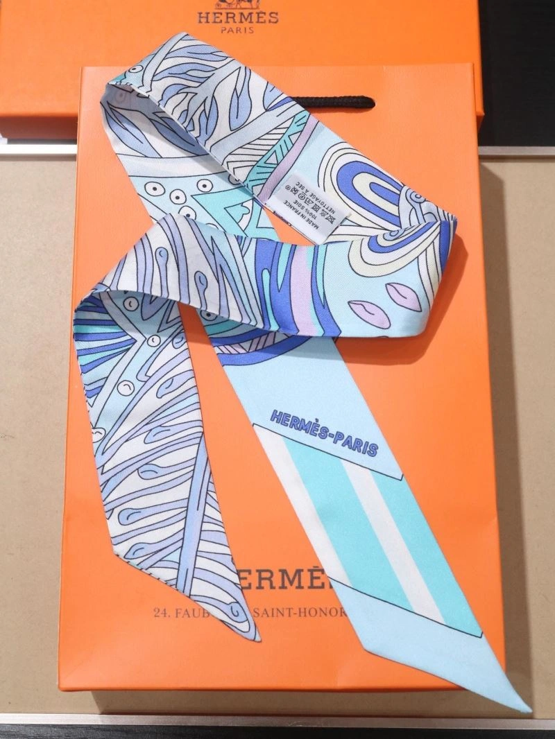 Budget-friendly Hermes Silk