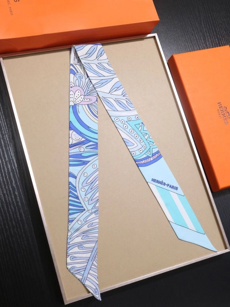 Budget-friendly Hermes Silk
