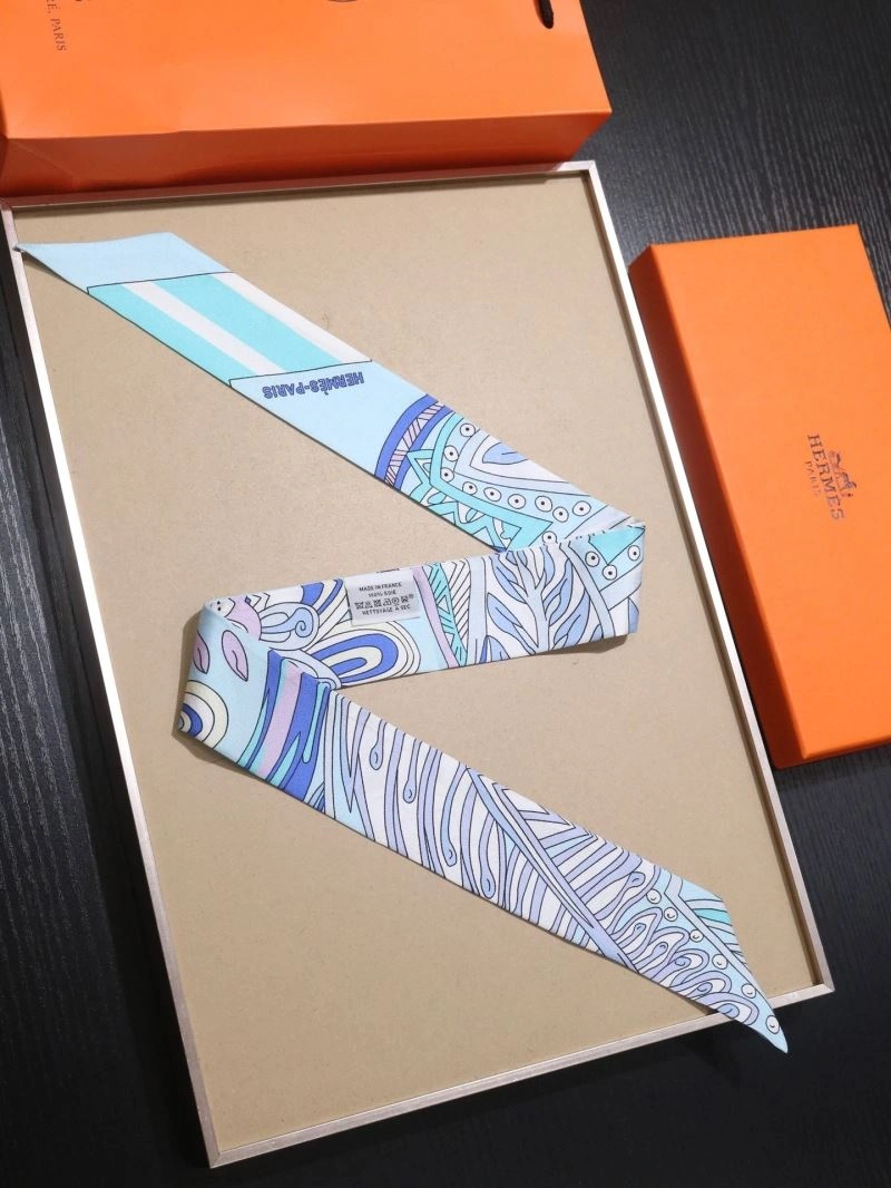 Budget-friendly Hermes Silk