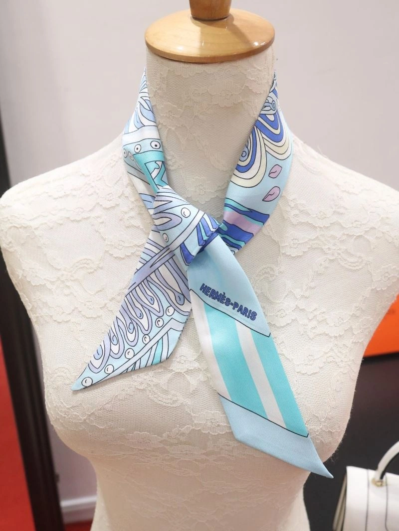 Budget-friendly Hermes Silk