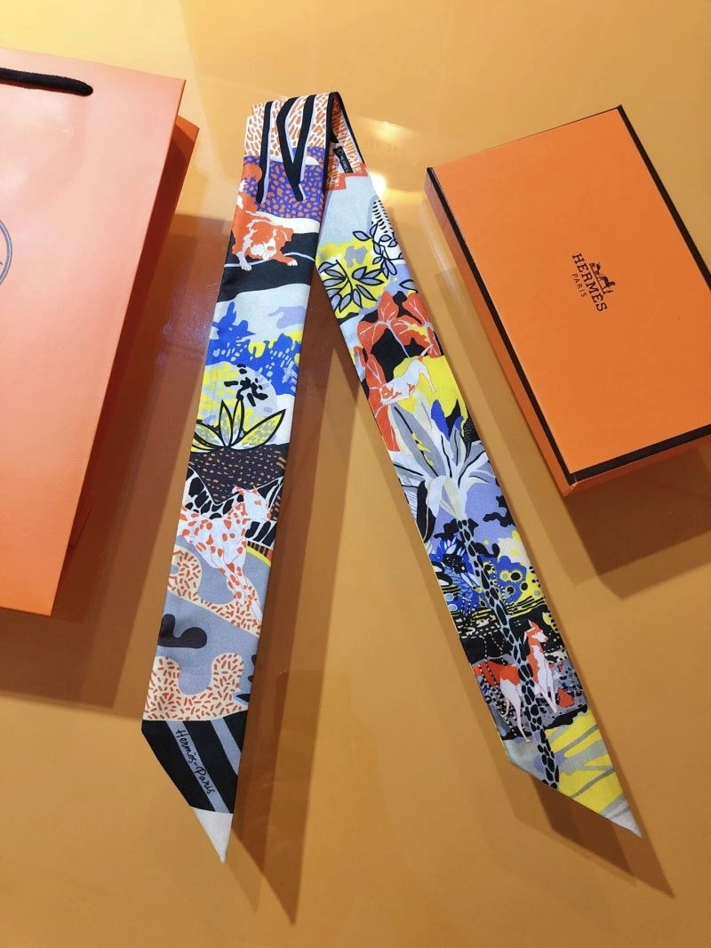 Cut-rate Hermes Silk