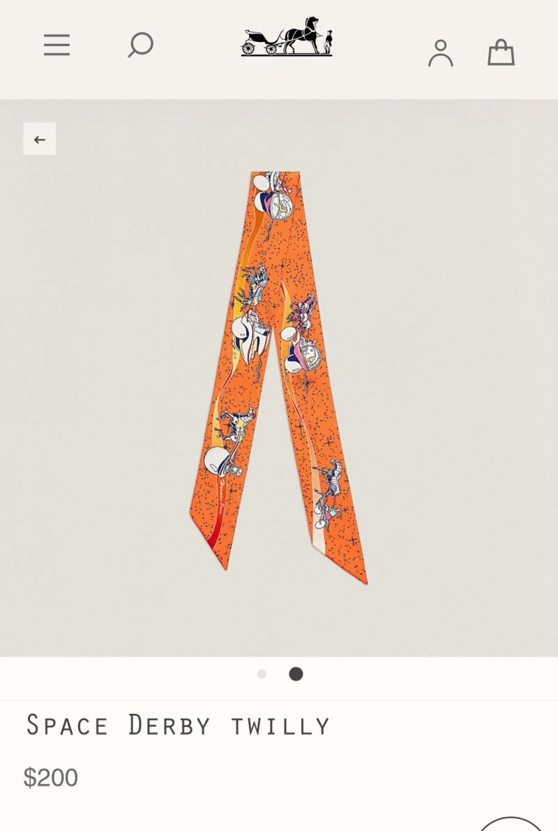 Economical Hermes Silk