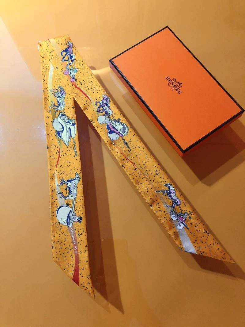Economical Hermes Silk