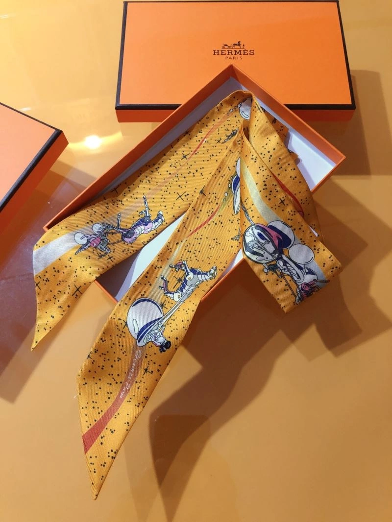 Economical Hermes Silk
