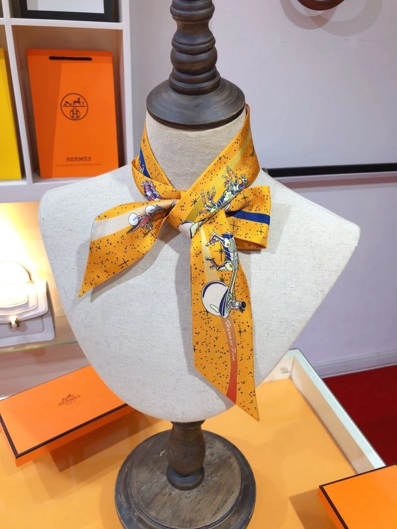 Economical Hermes Silk