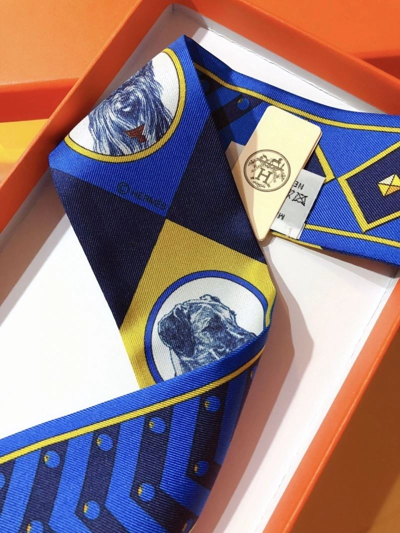 Economical Hermes Silk