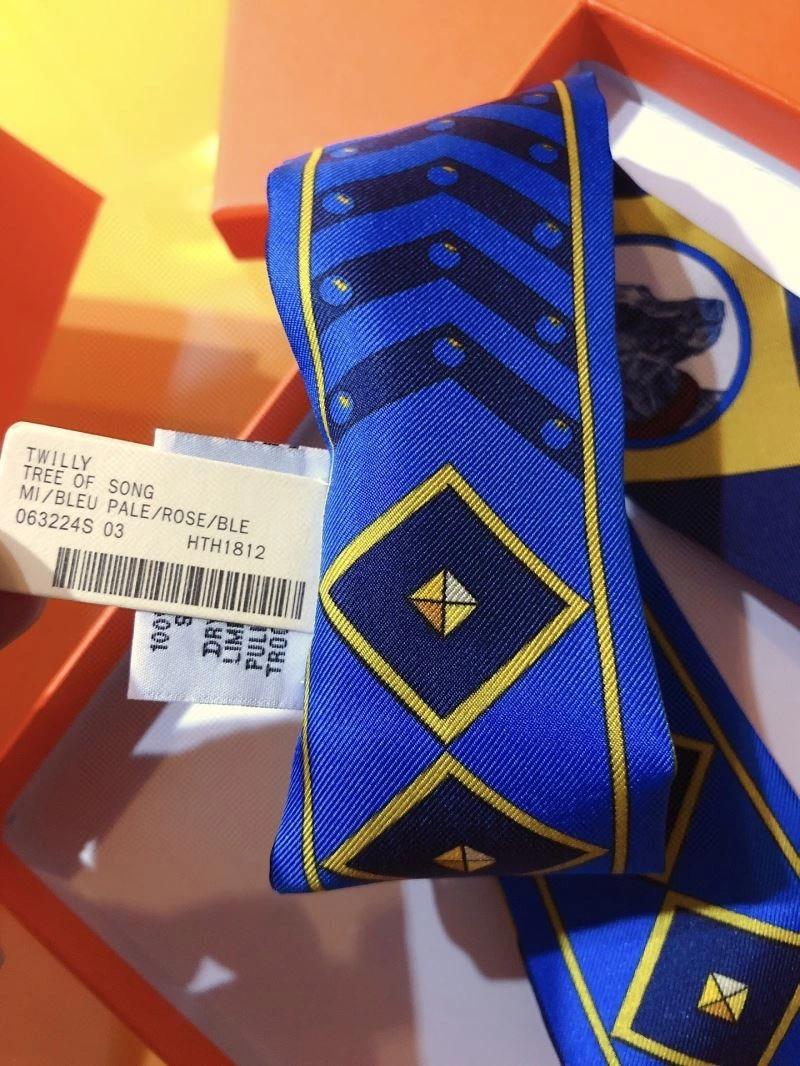 Economical Hermes Silk
