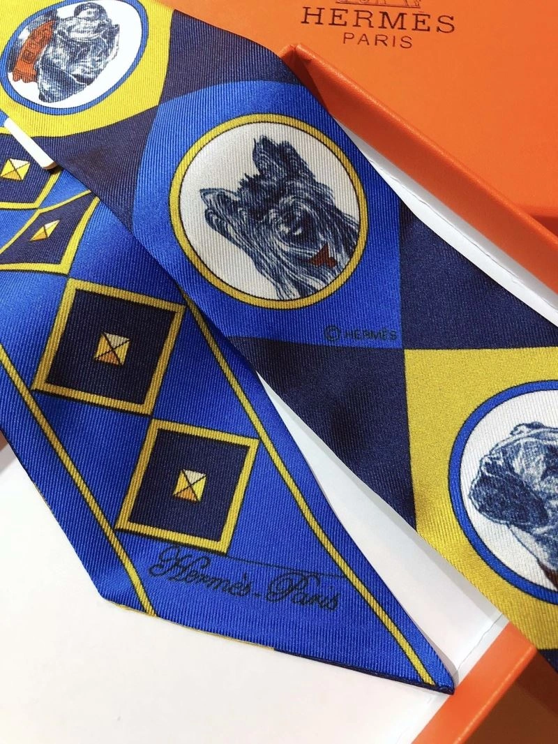 Economical Hermes Silk
