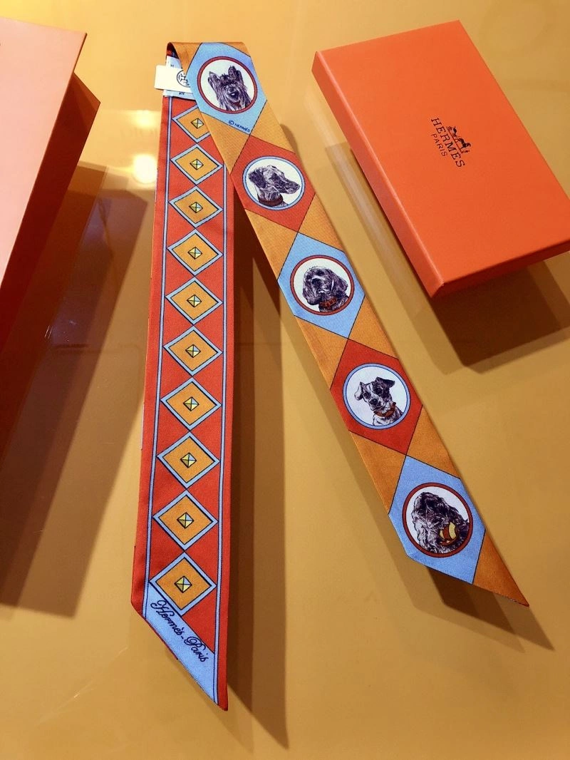 Hermes Silk