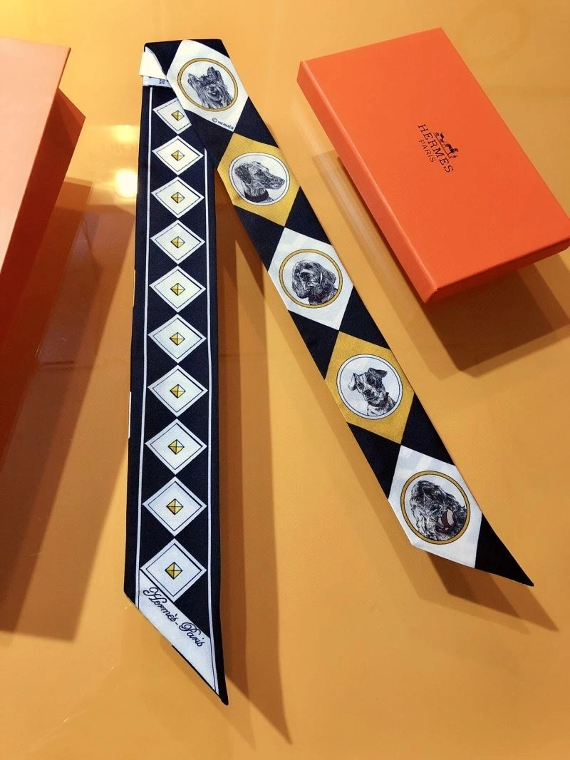 Hermes Silk