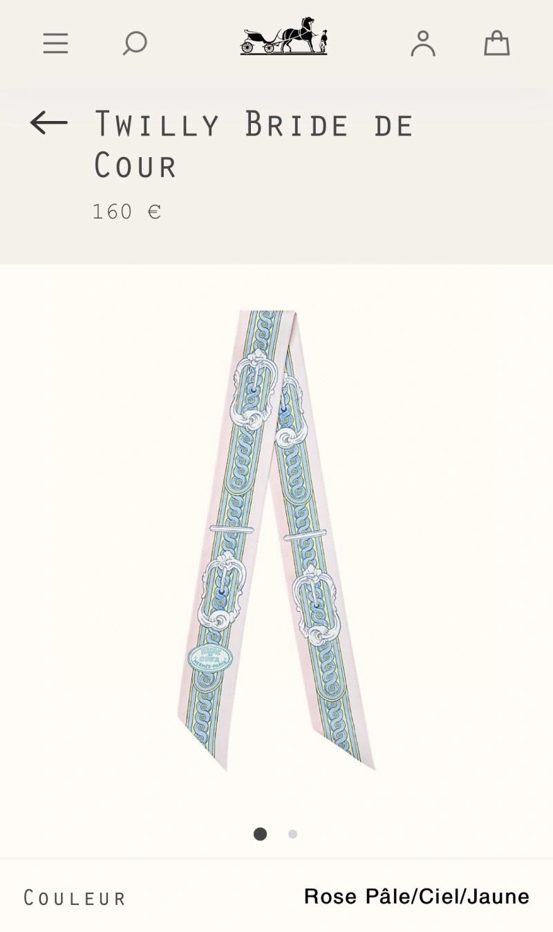 Hermes Silk