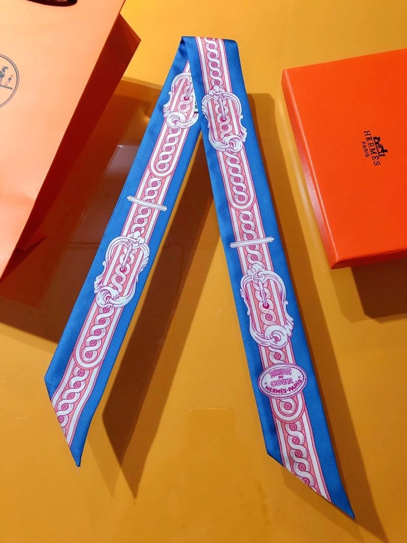 Top match Hermes Silk