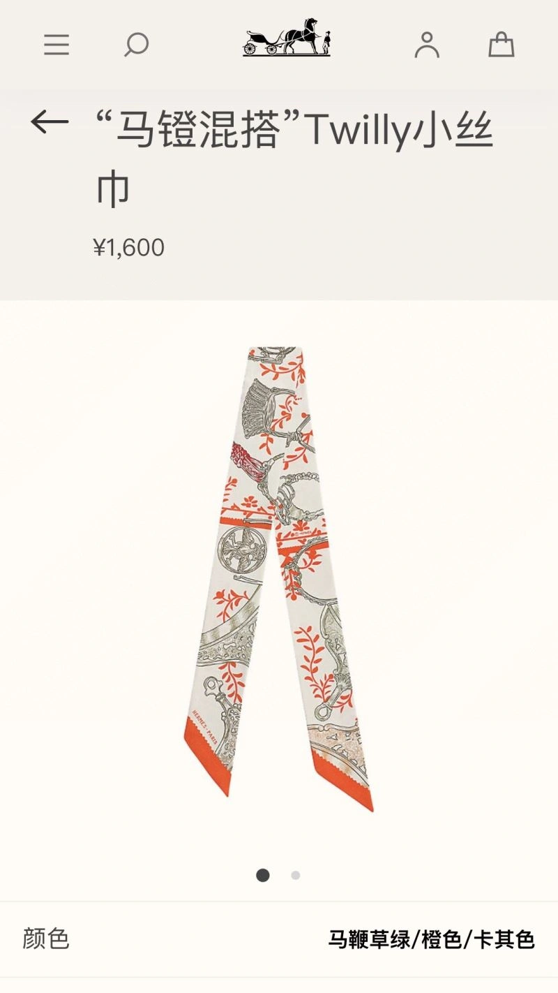 Hermes Silk