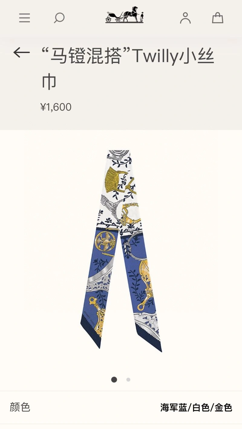Hermes Silk