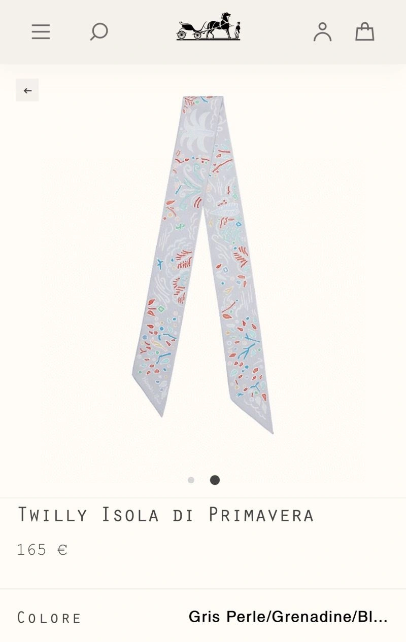 Discounted Hermes Silk