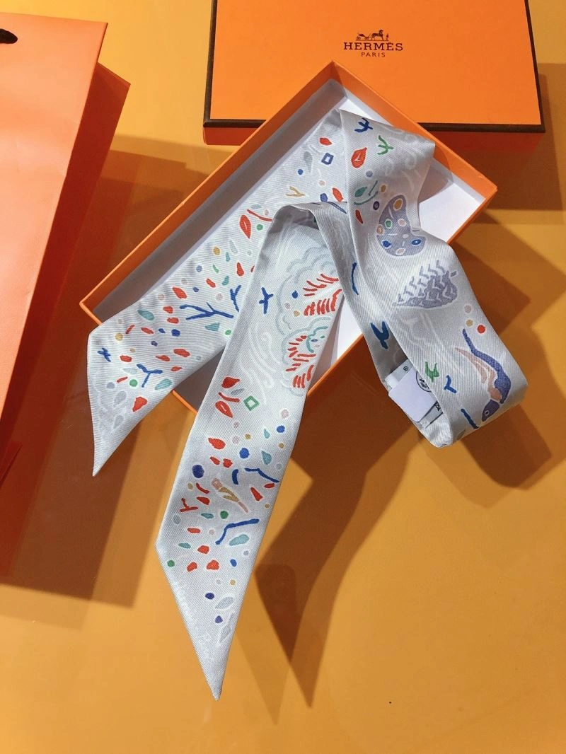 Discounted Hermes Silk