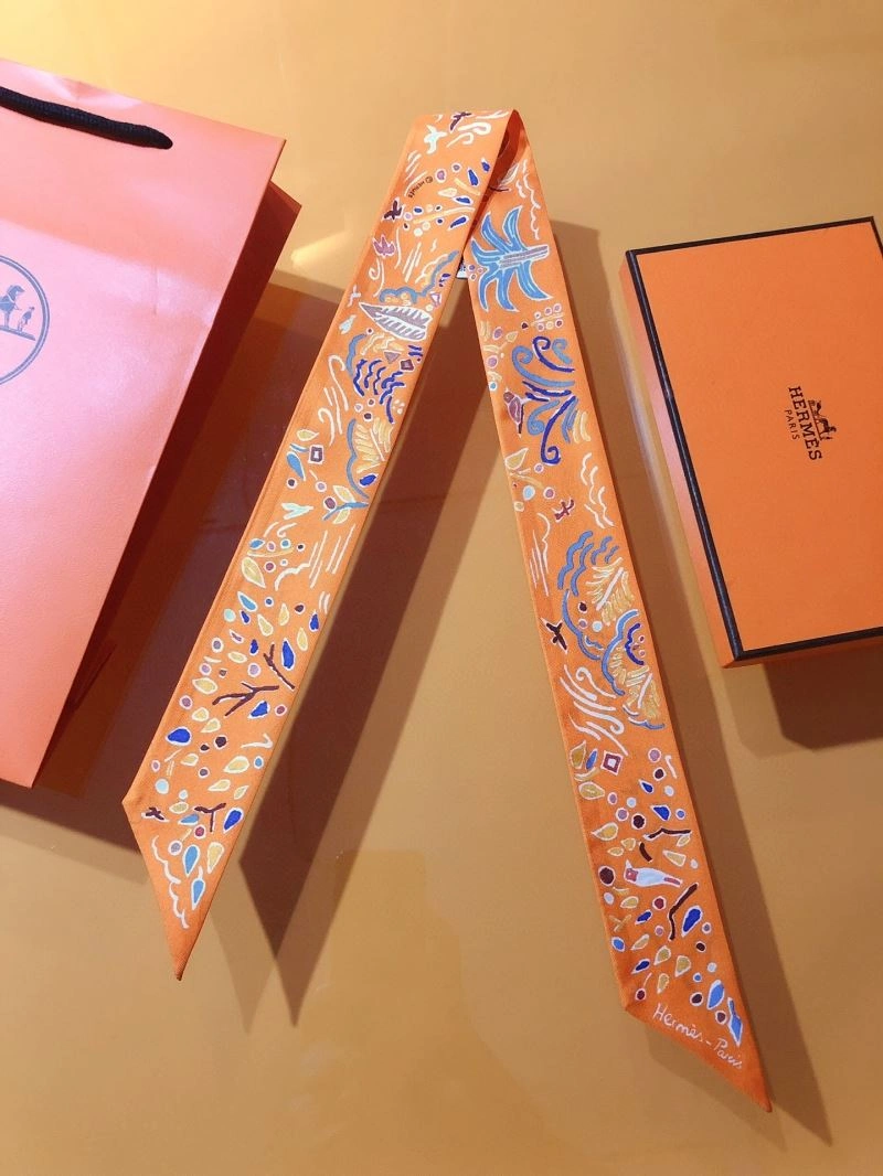 Top match Hermes Silk