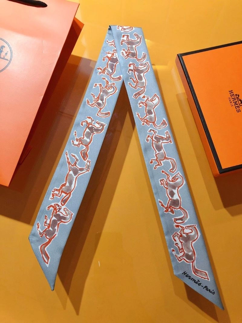 Hermes Silk