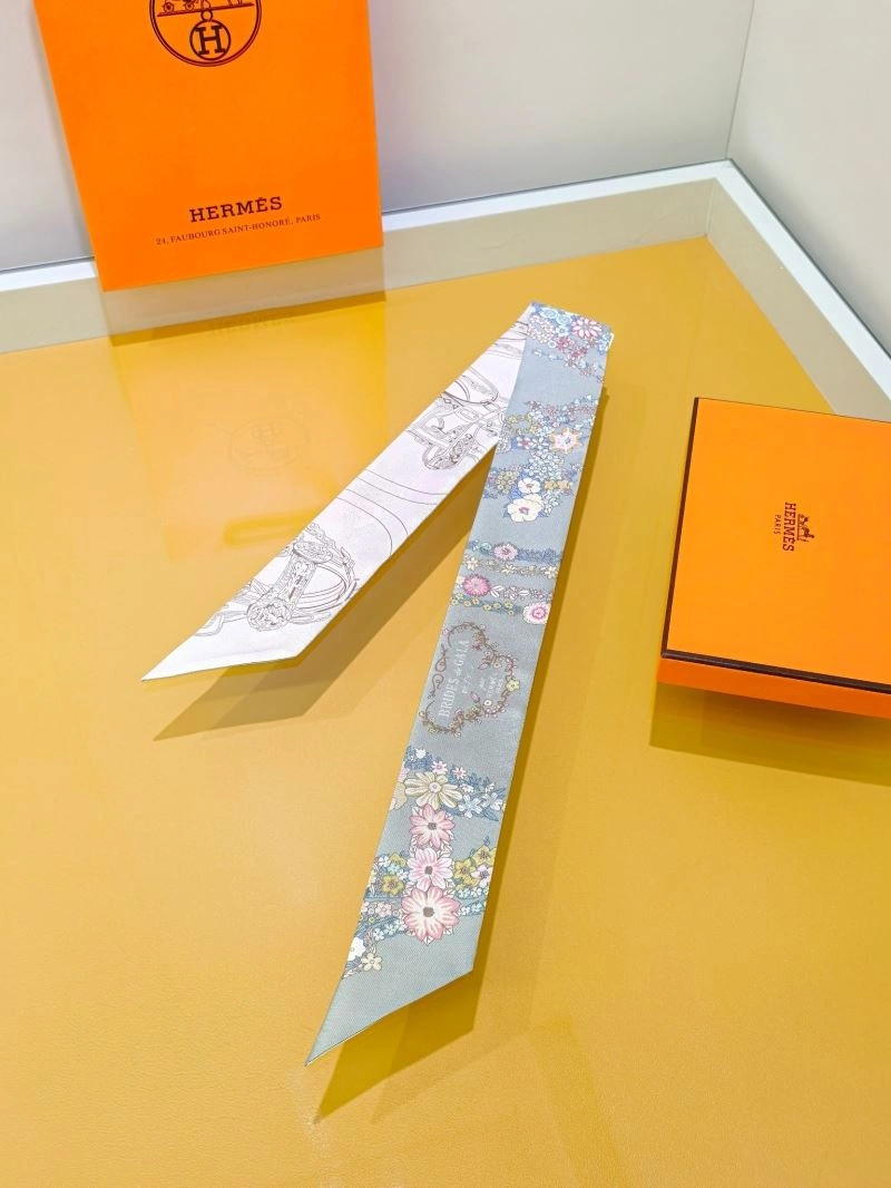 Hermes Silk