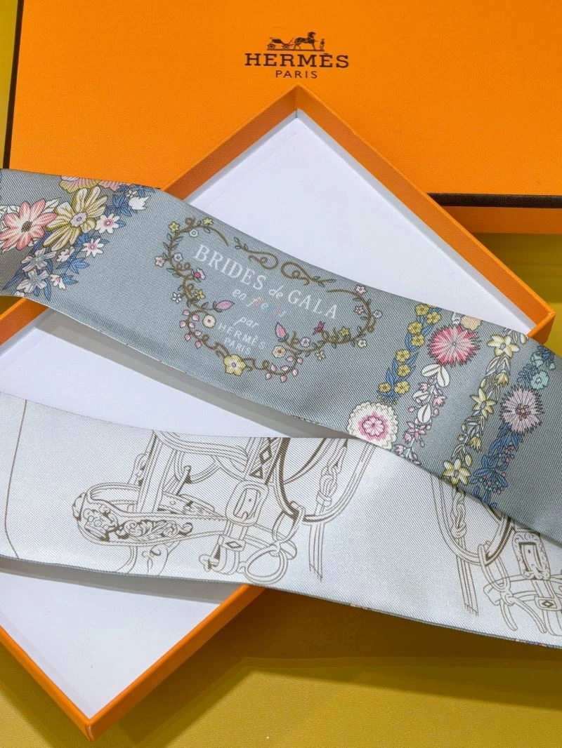 Inexpensive Hermes Silk
