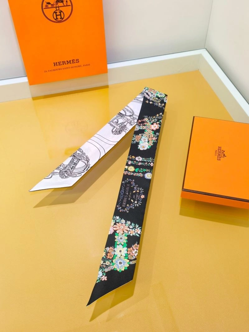 Reasonably priced Hermes Silk