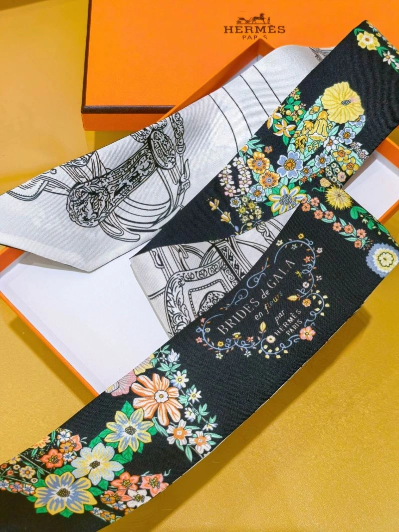 Reasonably priced Hermes Silk