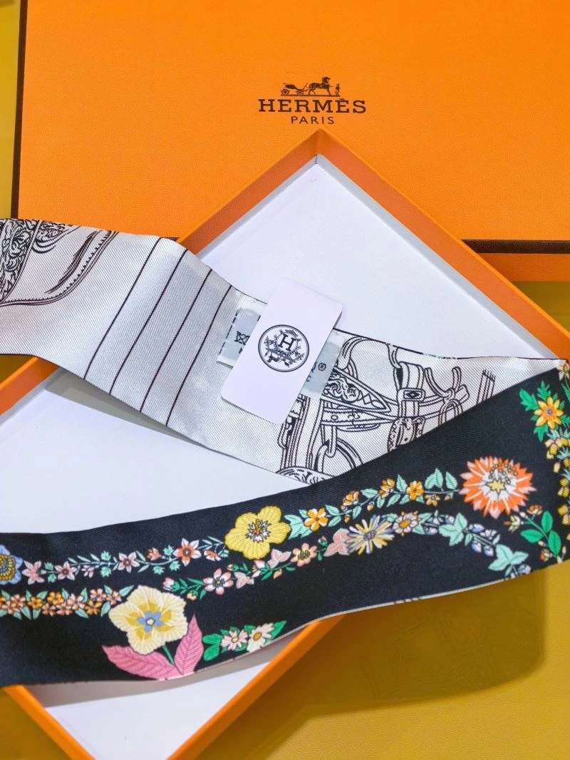 Reasonably priced Hermes Silk