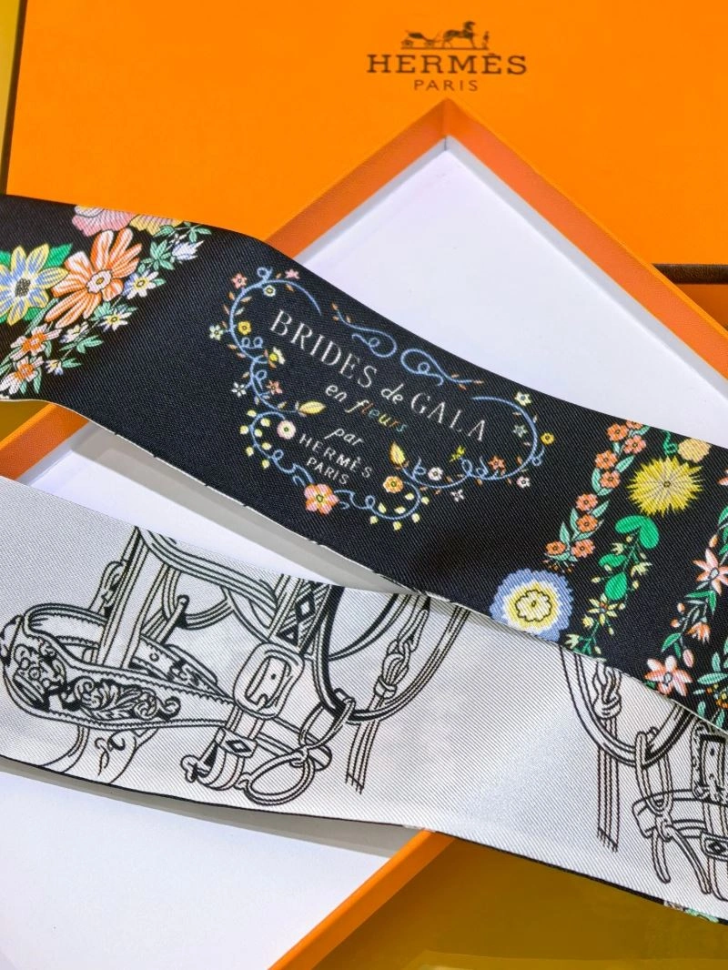 Reasonably priced Hermes Silk