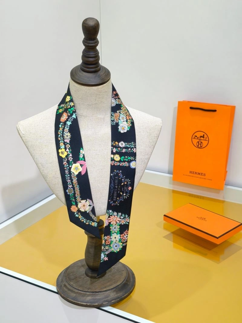 Reasonably priced Hermes Silk