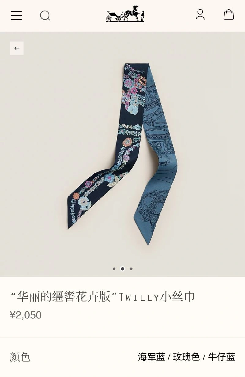Hermes Silk