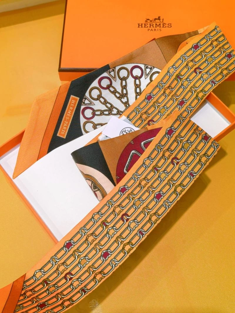 Reasonably priced Hermes Silk