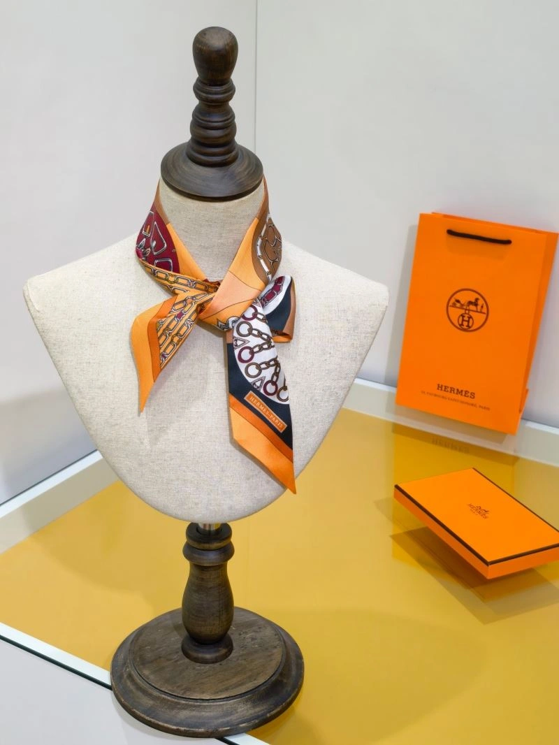 Reasonably priced Hermes Silk
