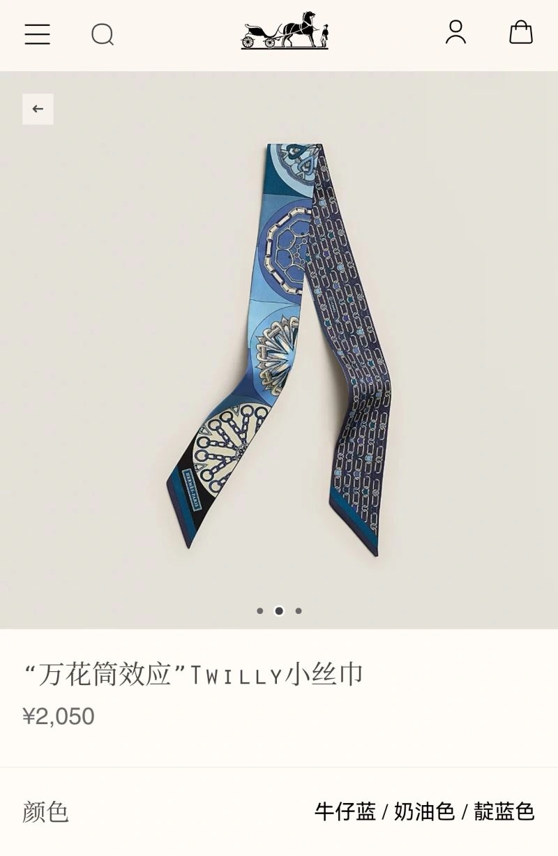 Hermes Silk