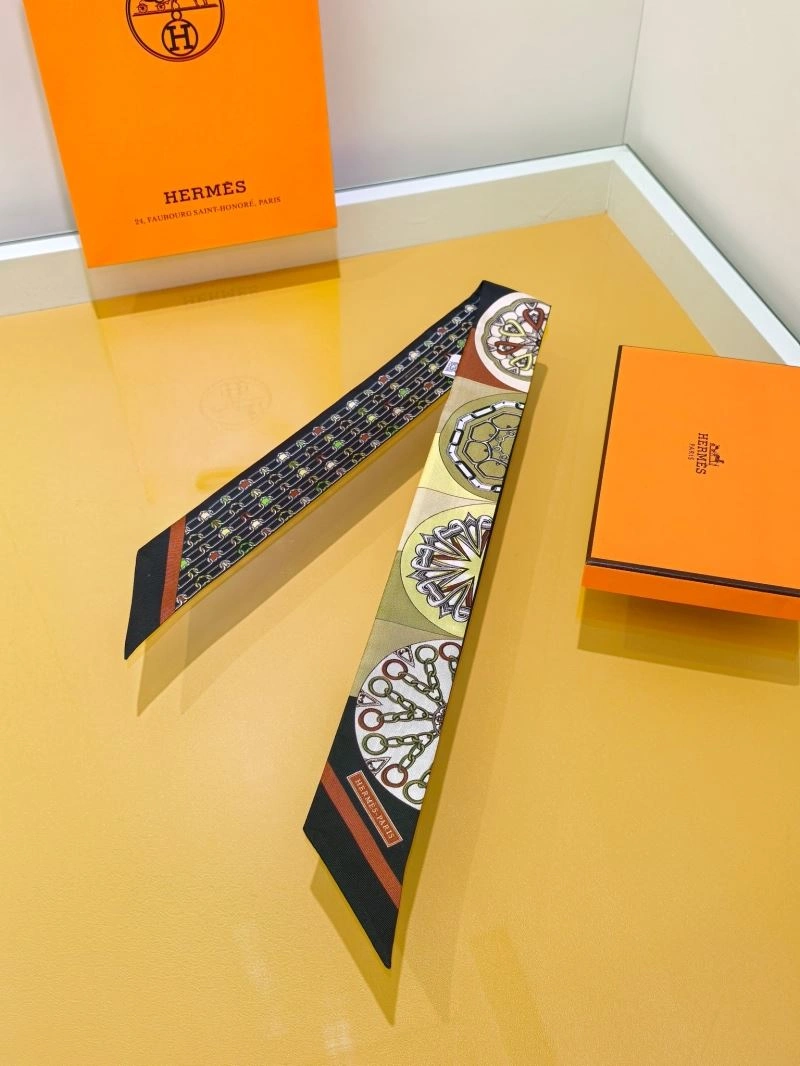Hermes Silk