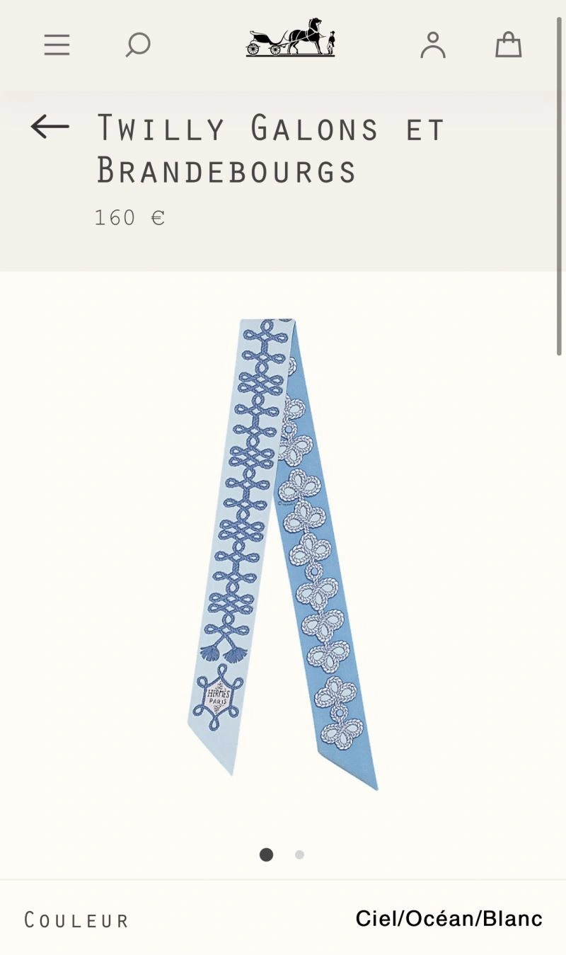 Hermes Silk