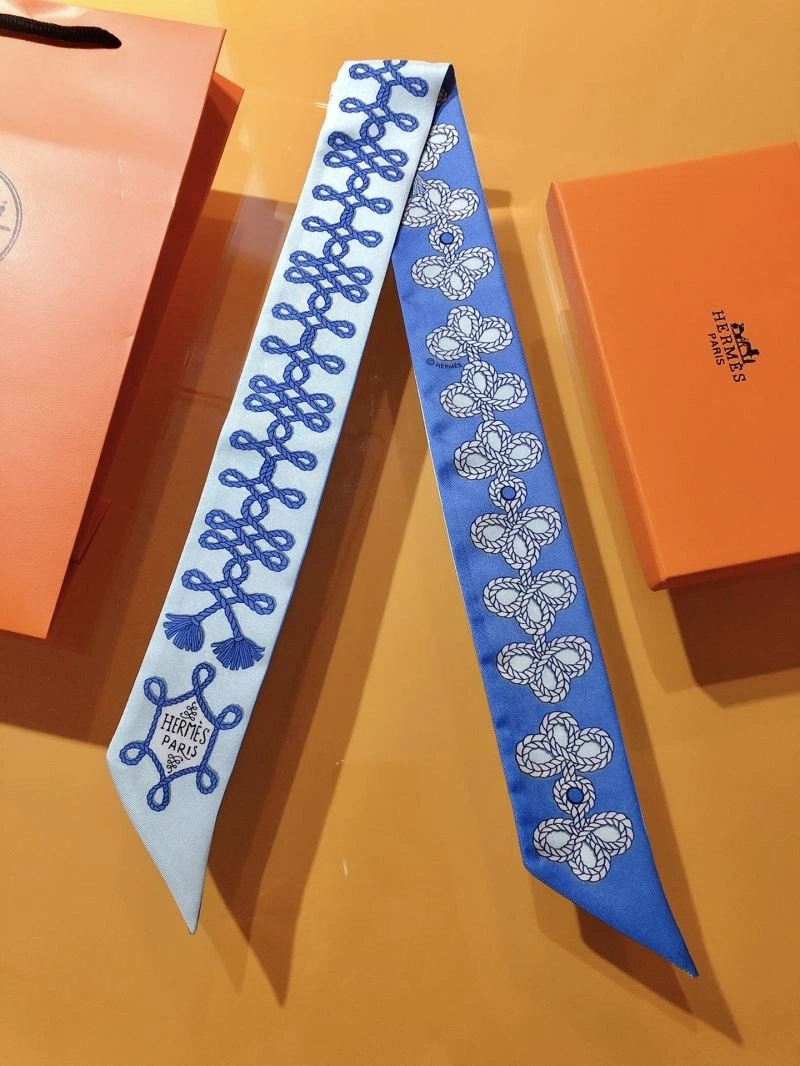 Reasonably priced Hermes Silk