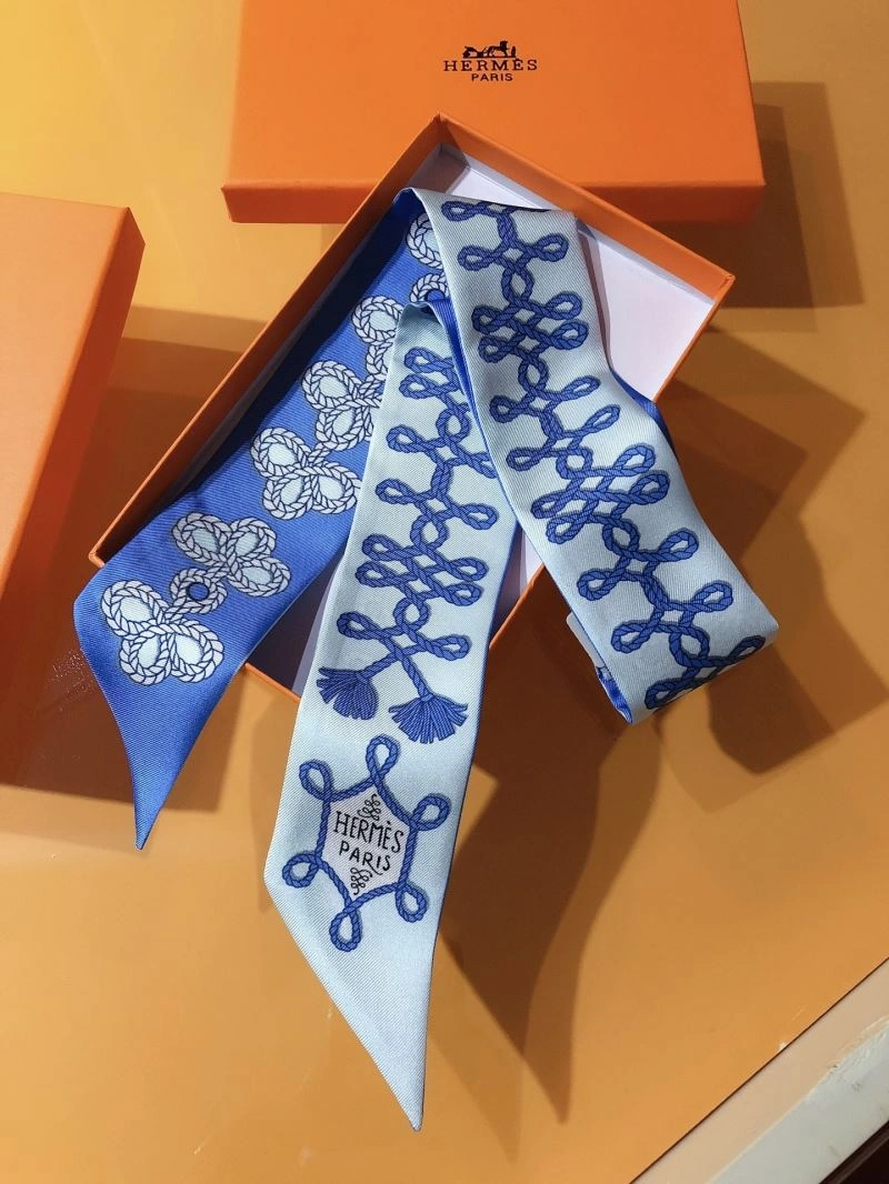 Reasonably priced Hermes Silk