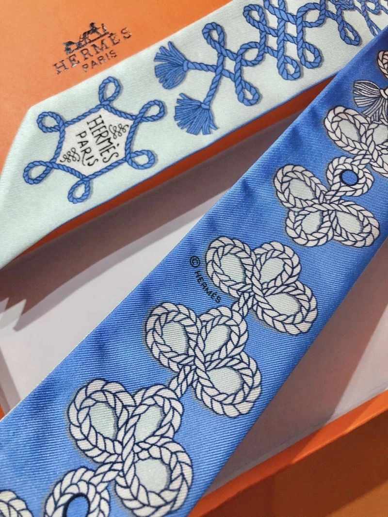 Reasonably priced Hermes Silk