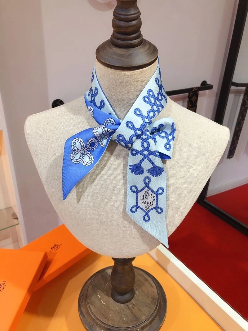 Reasonably priced Hermes Silk
