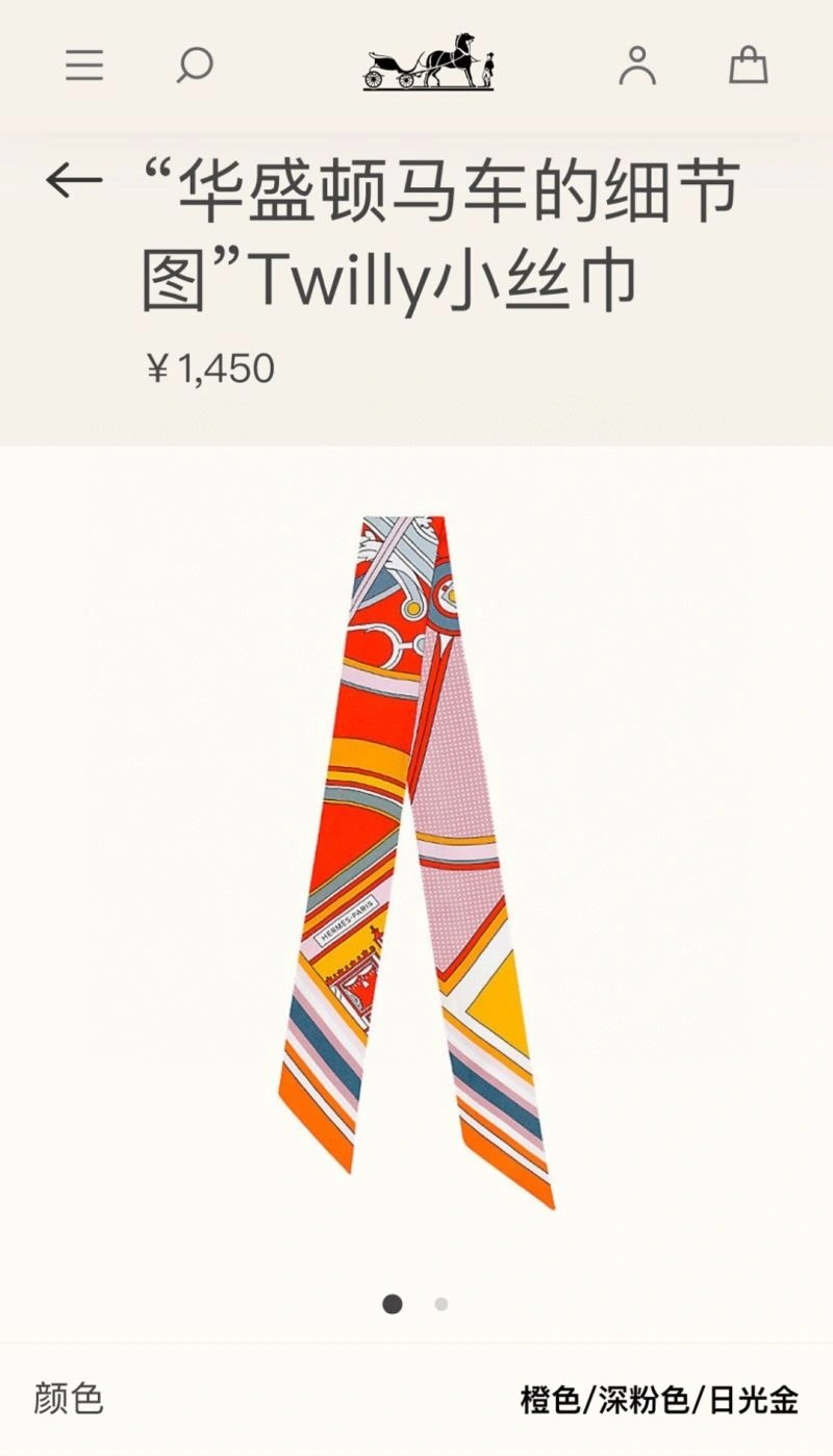 Hermes Silk