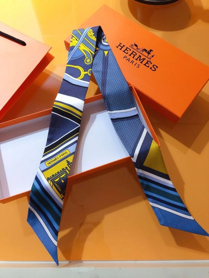 Hermes Silk