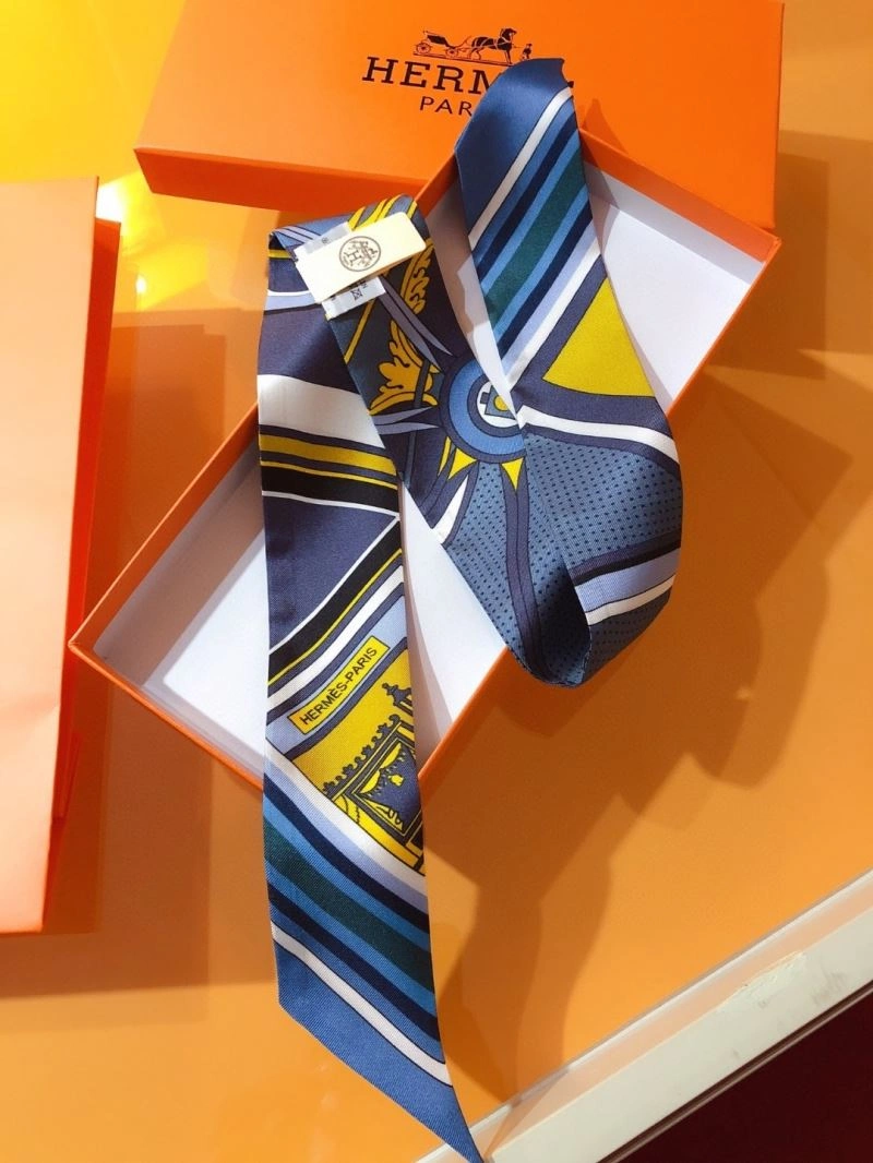 Indistinguishable Hermes Silk