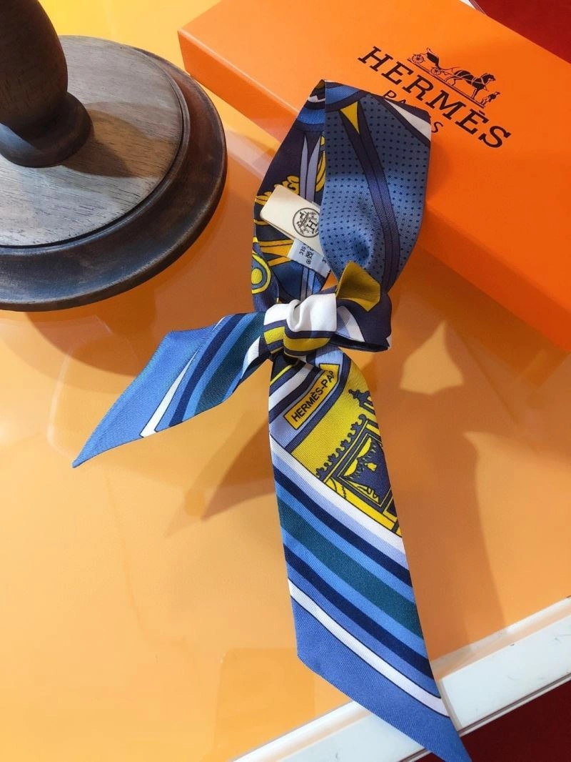 Indistinguishable Hermes Silk