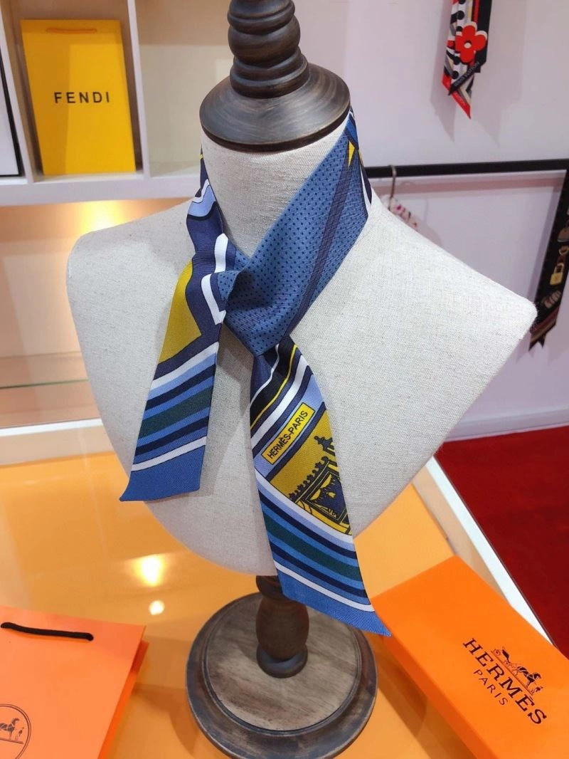 Indistinguishable Hermes Silk