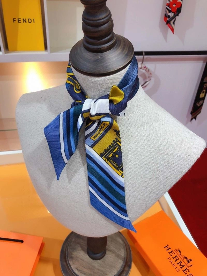 Indistinguishable Hermes Silk